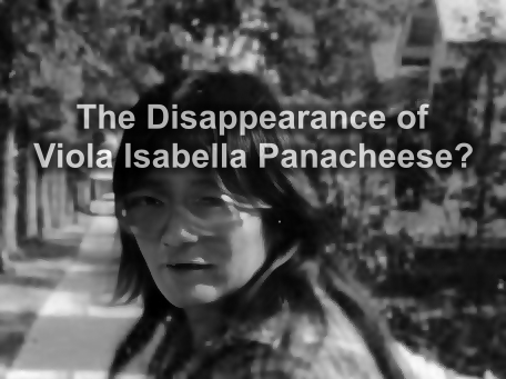 The Disappearance of Viola Isabella Panacheese – Someone Saw Something